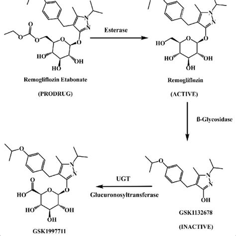 Uv Spectrum Of Linagliptin Download Scientific Diagram