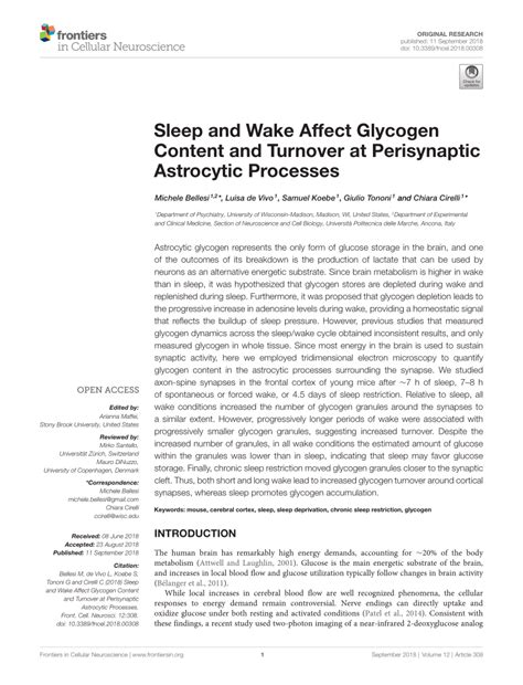 Pdf Sleep And Wake Affect Glycogen Content And Turnover At
