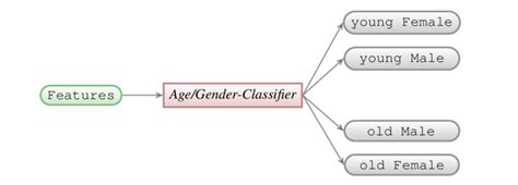 Scheme Of Utilized X Class Classifier Using One Age Gender Classifier Download Scientific