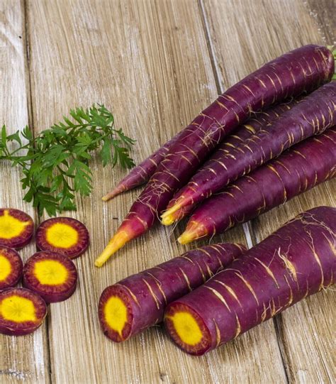 Carrot Purple Haze F1 Seed Seed Treated 50 000 Seeds Artofit