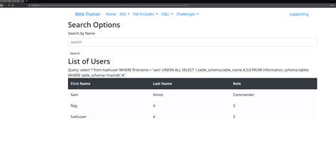 Database Enumeration 6005 Cem Security