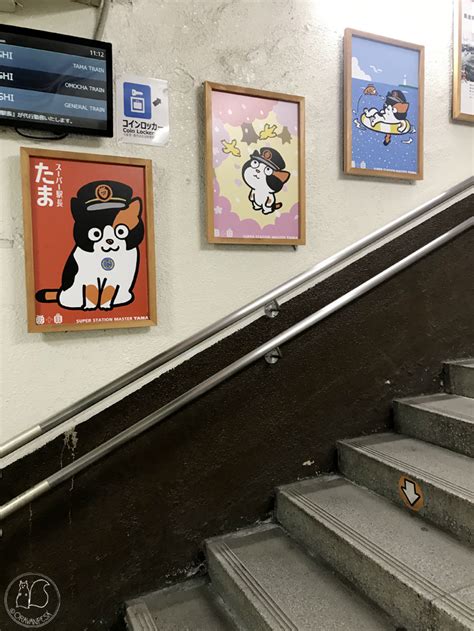 Oravanpes Japani Osa Tama Densha