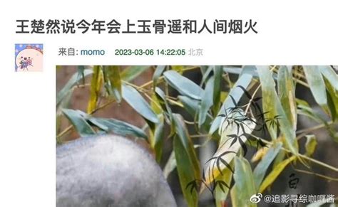 王楚然说玉骨遥今年播出！