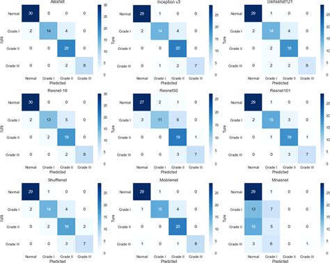 The Confusion Matrix Of The Convolutional Neural Networks For Assessing