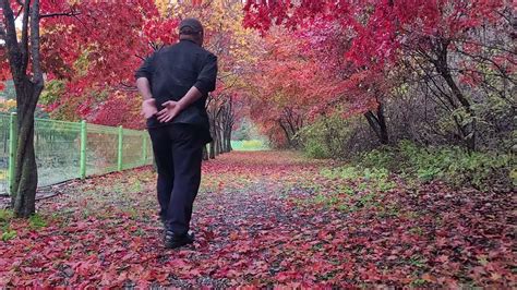 도깨비 3분영상 태백 단풍이 막바지 자랑질 Youtube