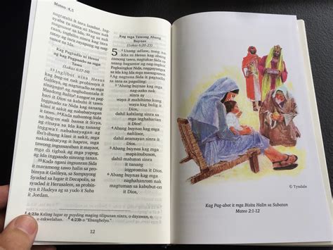 New Testament And Genesis And Exodus In Bantoanon Asi Language Bag