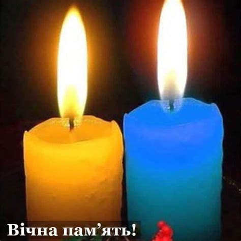 Мудрик 🐶🐱 «Секрети домашніх тварин — це табір де діти не просто граються з тваринками а