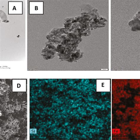 Ftir Spectra Of Diatom And Diatom Feox Composite A Between 300 And Download Scientific