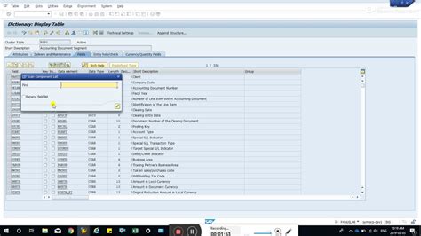Sap Ce1xxxx Bkpf Bseg Youtube