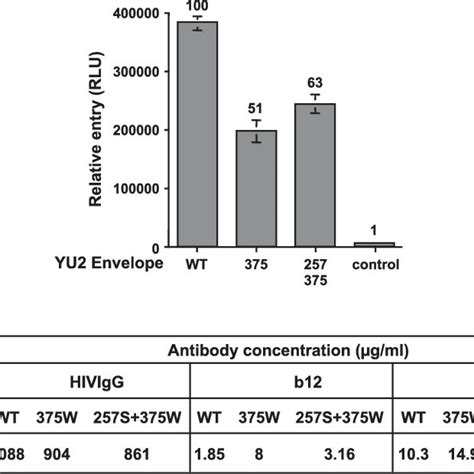 Entry And B12 Neutralization Of Pseudotyped Wt And Mutant Hiv 1 A