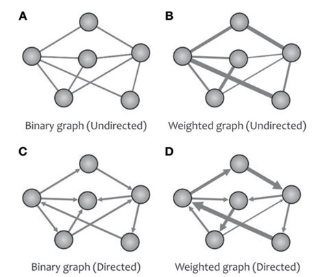 Figure 1 From Application Of Graph Theory For Identifying Connectivity Patterns In Human Brain