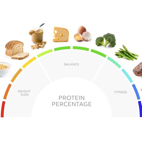 50 Essential Tips Optimal Daily Protein Intake For Health 2023