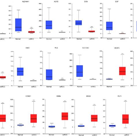 Boxplots Showing The Expression Of The 17 Hub Genes In Healthy Controls