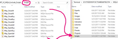 Roulette Trader A Powerful Forex Trading Money Management Strategy