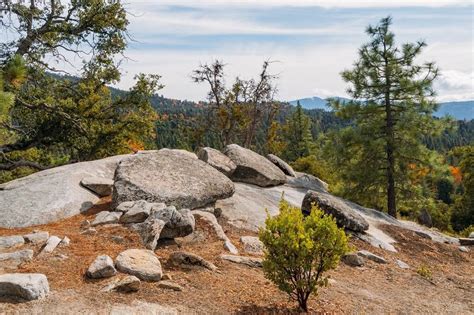 Idyllwild Park Trail At Idyllwild Nature Center