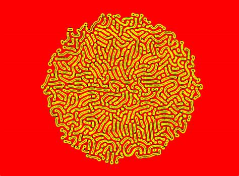 50 Staph Aureus Stock Illustrations Royalty Free Vector Graphics And Clip Art Istock