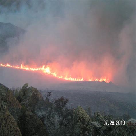 Kaggle Wild Fire Object Detection Dataset And Pre Trained Model By Gai5th