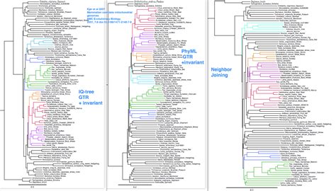 333 Questions With Answers In Dna Sequence Alignment Science Topic