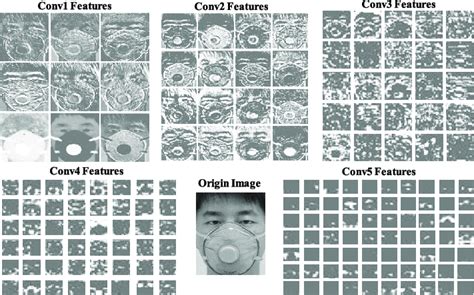 features visualization of partial convolutional layers download