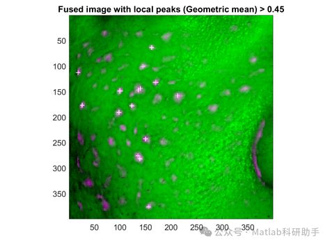 【图像处理】基于形状提取和模式匹配组合的面部特征点提取方法附matlab代码 Facet模型提取特征点 Csdn博客