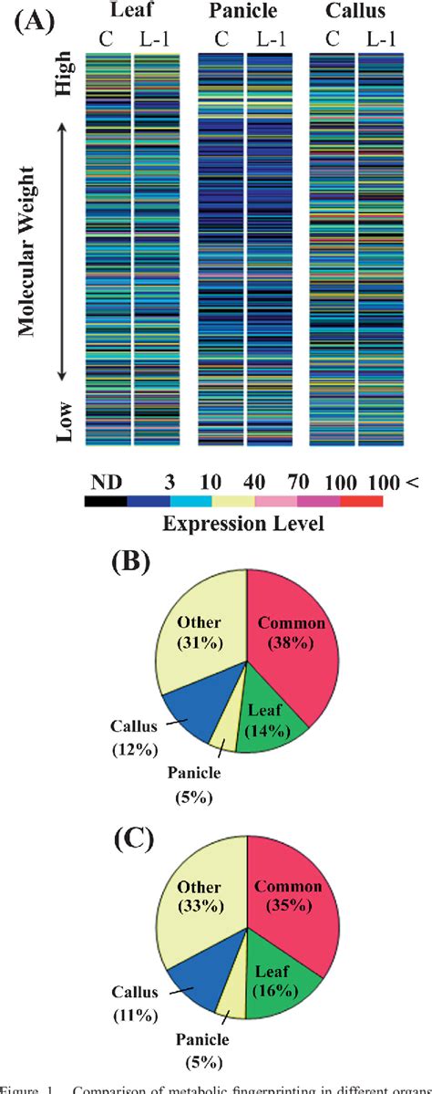 Figure 1 From High Throughput Metabolome And Proteome Analysis Of