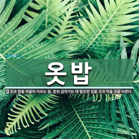 옷밥 뜻 옷과 밥을 아울러 이르는 말 흔히 살아가는 데 필요한 입을 것과 먹을 것을 이른다