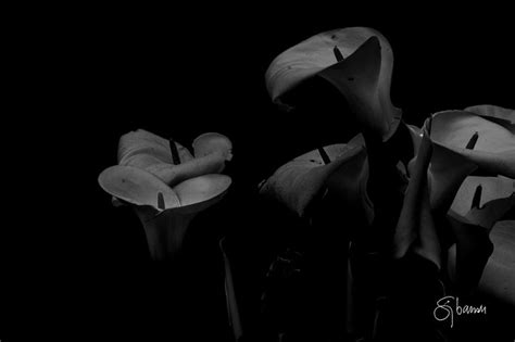 Sibansu Mukherjee On Linkedin Blackandwhitephotography Photography