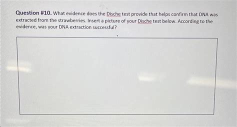 Solved Question When You Look At The Structure Of DNA Chegg