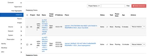 Unlocking The Potential Of Virtualised Network Functions And Service