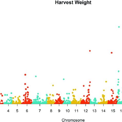 Manhattan Plot Of Genetic Variance Explained By 20 Snp Windows For