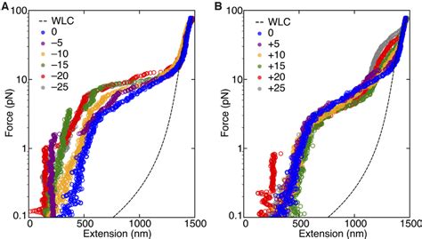 stretching a torsionally constrained hmfb dna complex reveals