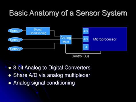PPT Basic Anatomy Of A Sensor System PowerPoint Presentation Free Download ID 3484146
