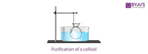 Dialysis Of Lyophilic And Lyophobic Sol Cbse Class 12 Chemistry