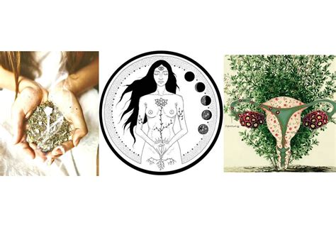 The Vulva Gallery Its Very Common For Labia To Be Asymmetrical