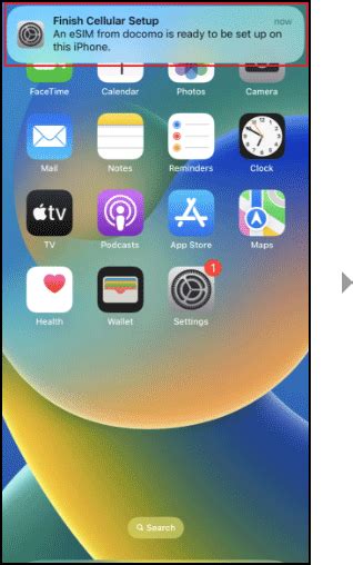 ESIM Activation Support NTT DOCOMO