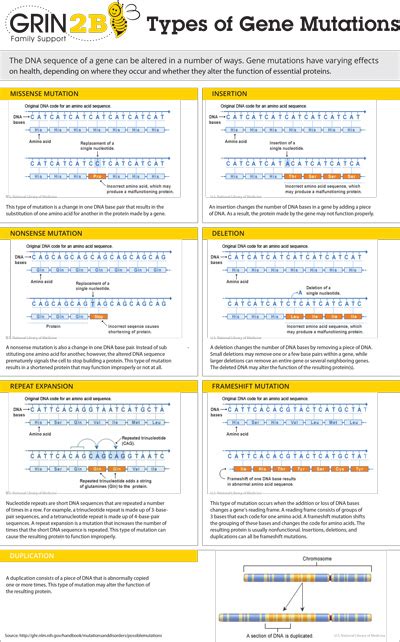 Genetic Mutation Types