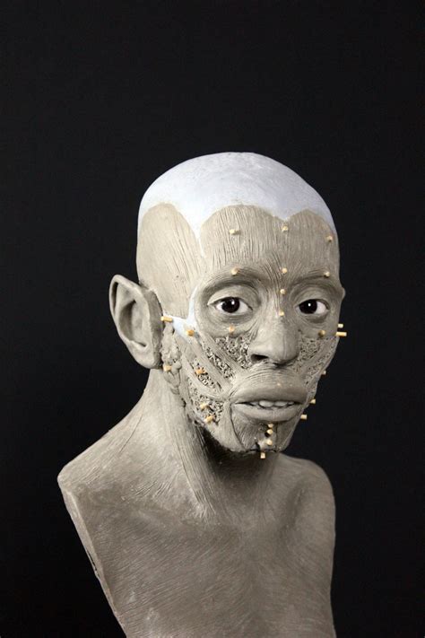 Incan Ice Maiden Revealed In Hyperrealistic Facial Reconstruction Scientific American