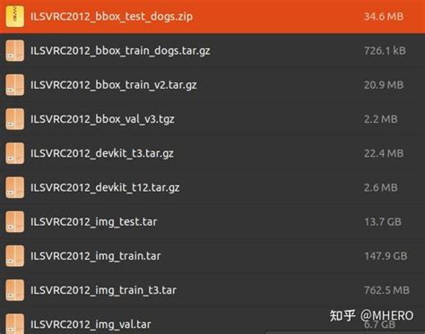 使用pytorch加载imagenet Ilsvr2012数据集 知乎