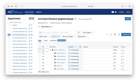 Models And Experiments Docs Practicus Ai