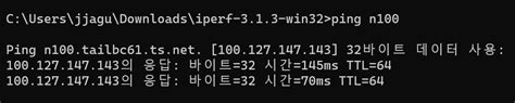 Tailscale의 편의기능 Magic DNS Tail SSH Web SSH 사용하기