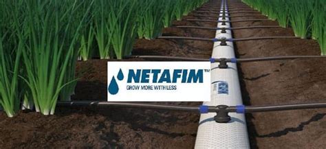 Netafim Drip Irrigation Systems