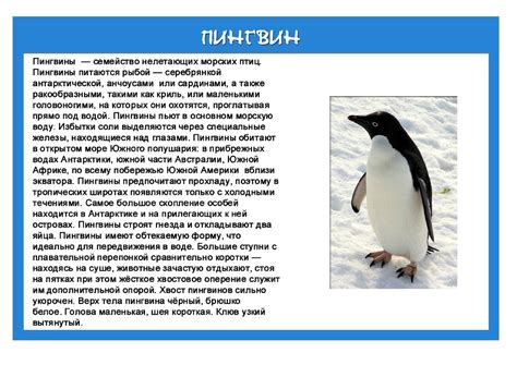 КАРТОЧКИ ОБУЧАЮЩИЕ поделка №12975 своими руками с мастер-классом