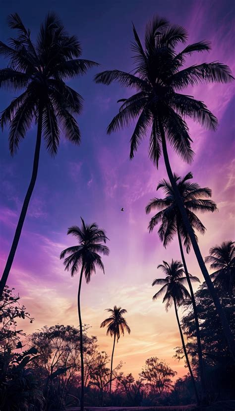 Tranquil Tropical Sunset With Palm Trees Reflection Mobile Wallpaper