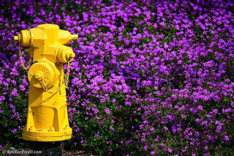 Nikon 70 300mm Vr Fx Af P Review