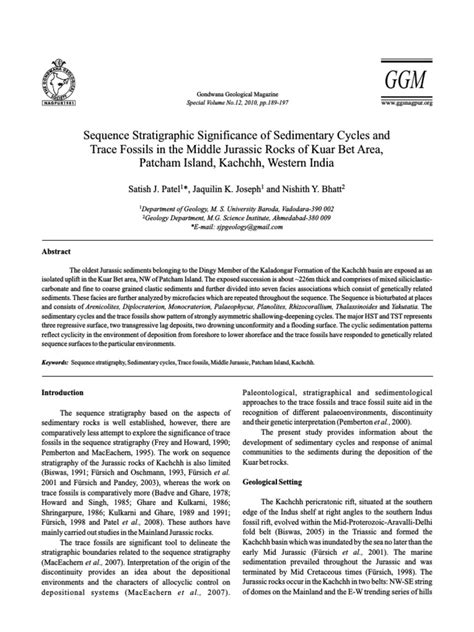 Patel Et Al 2010 Pdf Sedimentary Rock Limestone