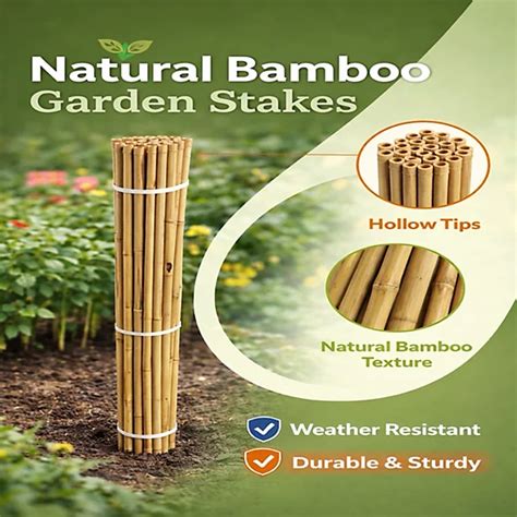 50 Pack Natural Bamboo Garden Canes Strong Plant Support Sticks 915cm