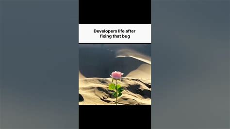Developer Life 😂 Developer Coder Programming Bugs Trending Viralshort Youtube