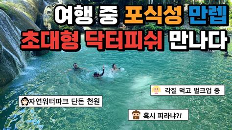 필리핀 시키호르 가족여행part 4 벌크업 만렙 닥터피쉬 라간폭포 올드트리 닥사안 씨푸드 바베큐 식당 맛집 로컬 마사지샵