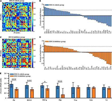 Frontiers Retrosplenial Cortex Effects Contextual Fear Formation Relying On Dysgranular