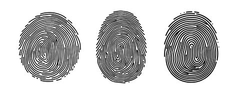 Premium Vector Vector Set Of Fingerprint Types Fingerprint Vector Illustration Minimalist Style